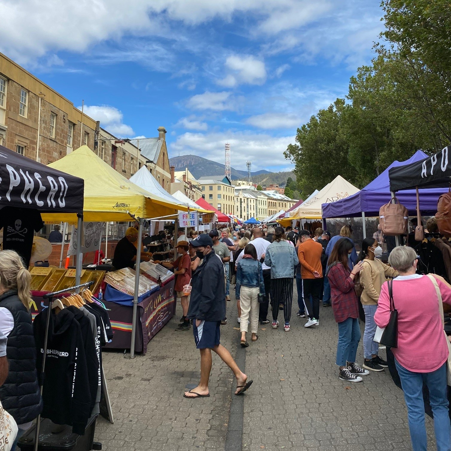 Bendigo Stadium heads to Tasmania with Bendigo Spirit - Red Energy Arena